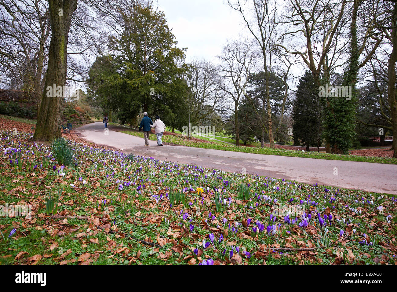 Belle Vue Park in Newport, South Wales, Uk Stock Photo - Alamy
