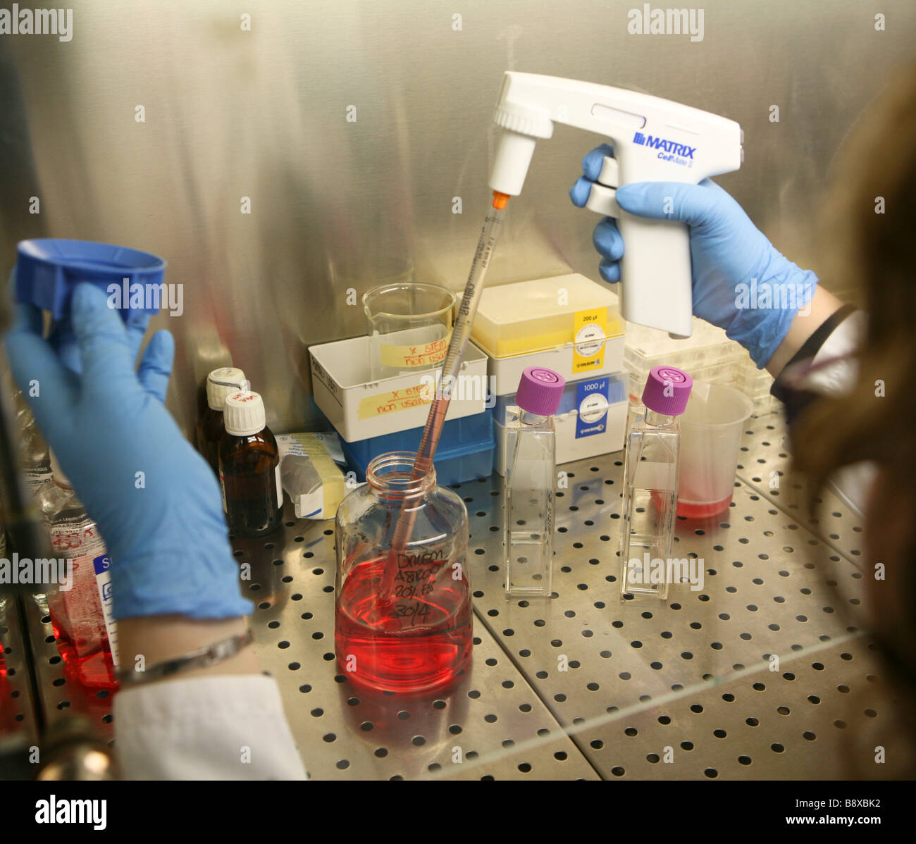 cell culture under sterile hood, istituto di ricerche farmacologiche ...
