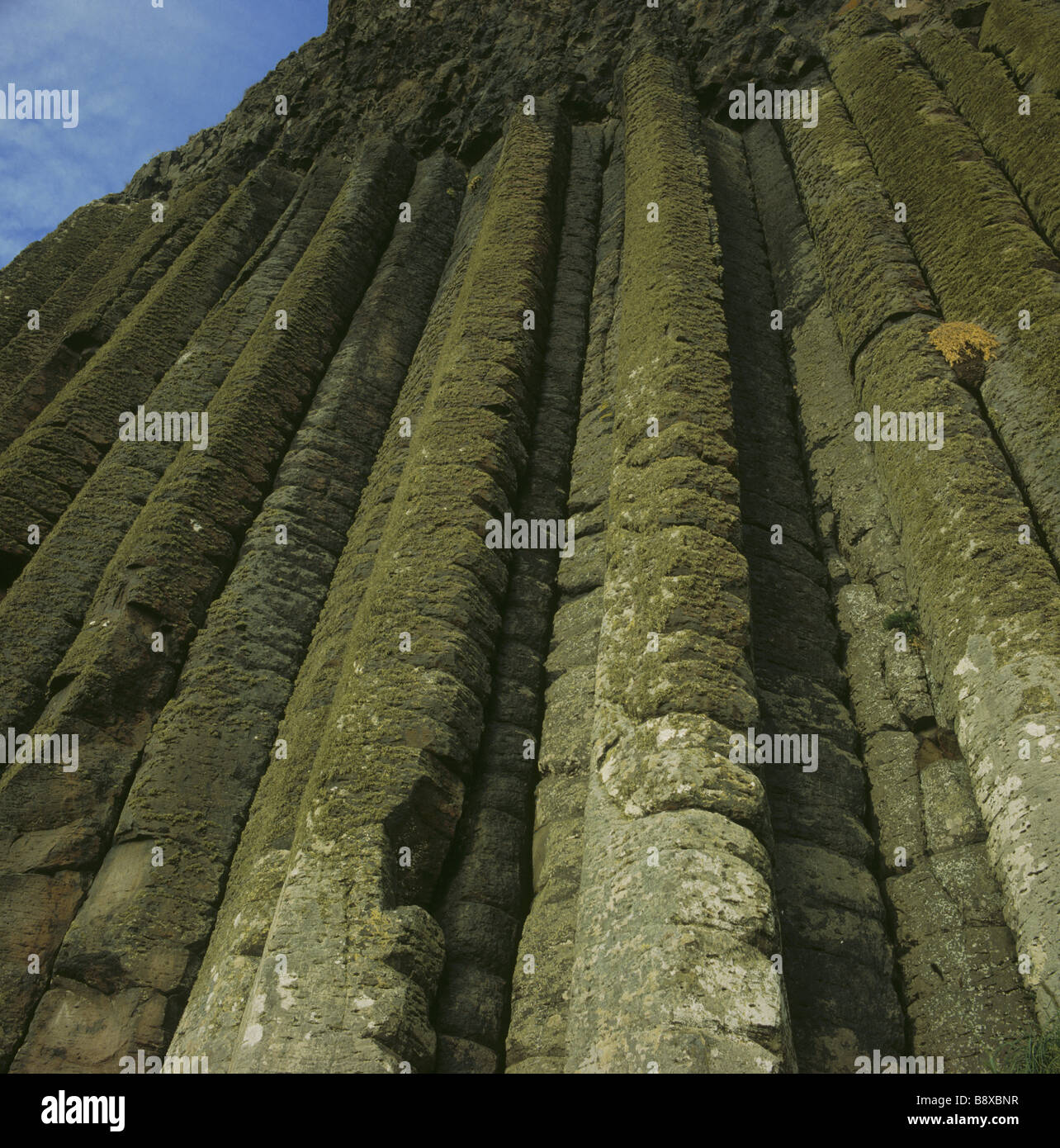 Detail of the Organ at Giant s Causeway basalt rock formation Stock ...