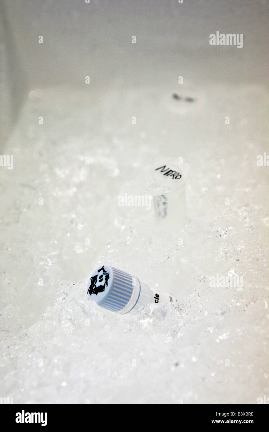 Test tubes in ice hi-res stock photography and images - Alamy