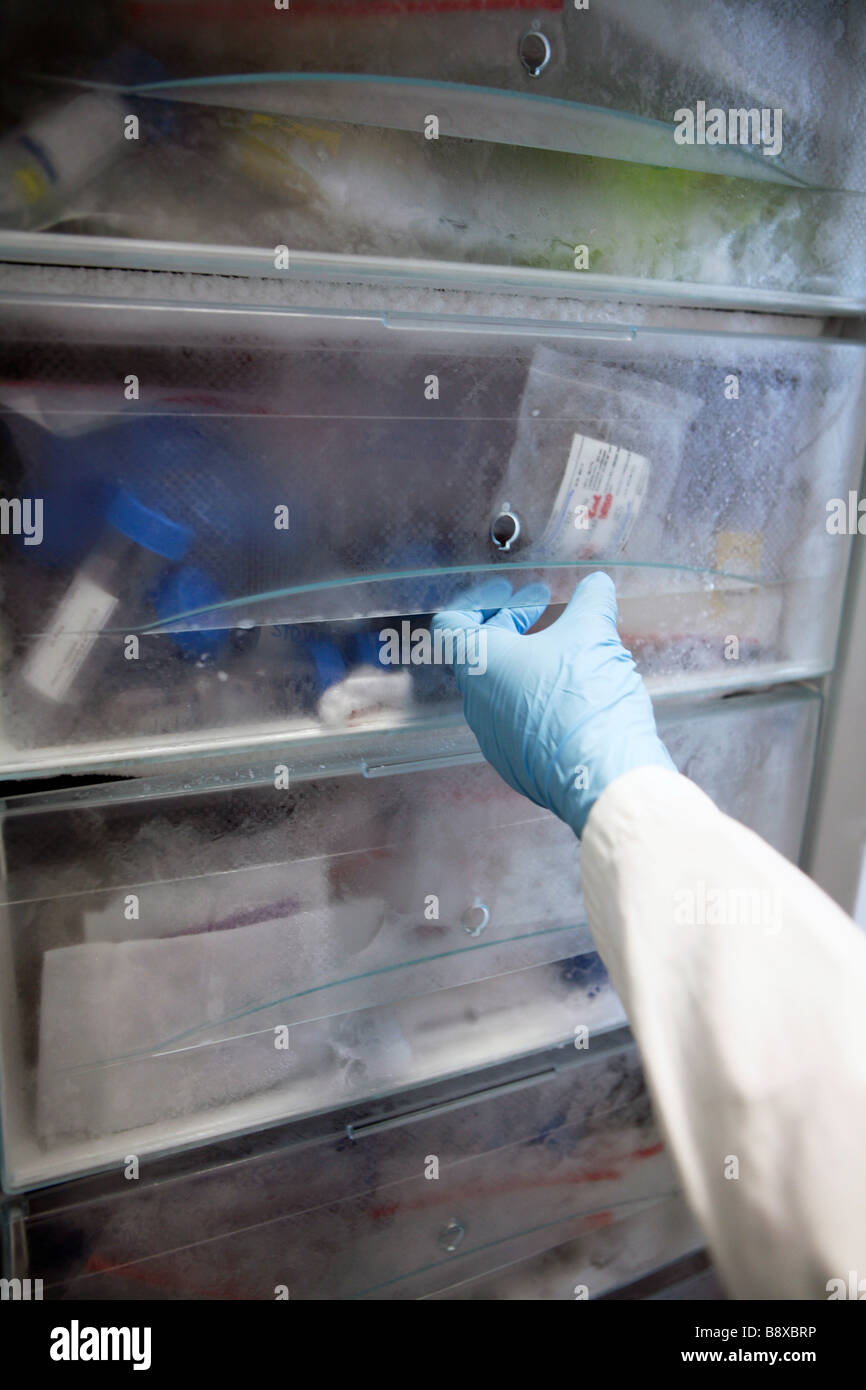 Person in laboratory freezer hi-res stock photography and images - Alamy