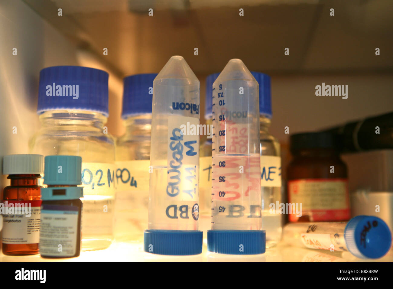 Laboratory refrigerator hi-res stock photography and images - Alamy