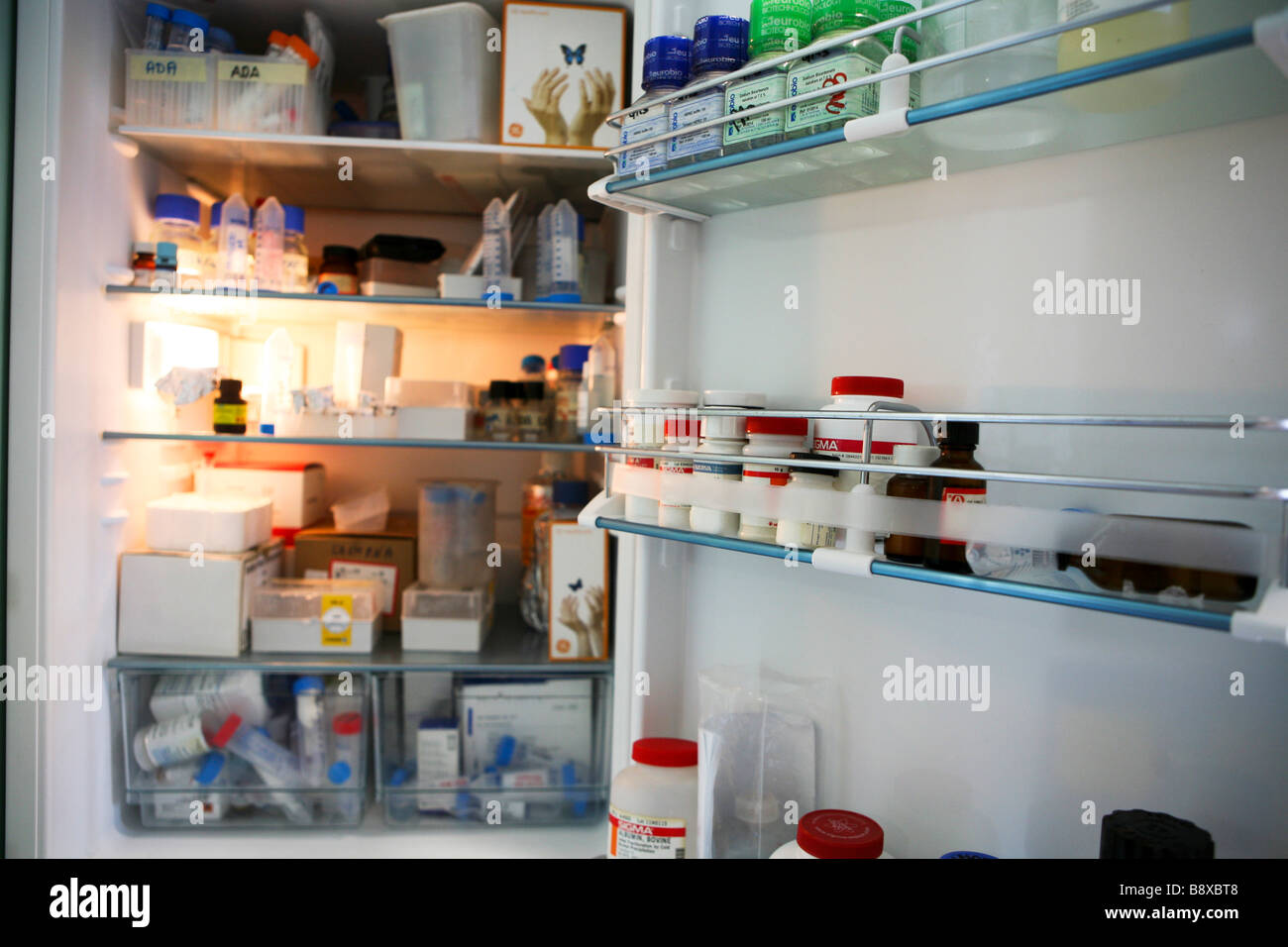samples and test tubes in refrigerator, istituto di ricerche ...