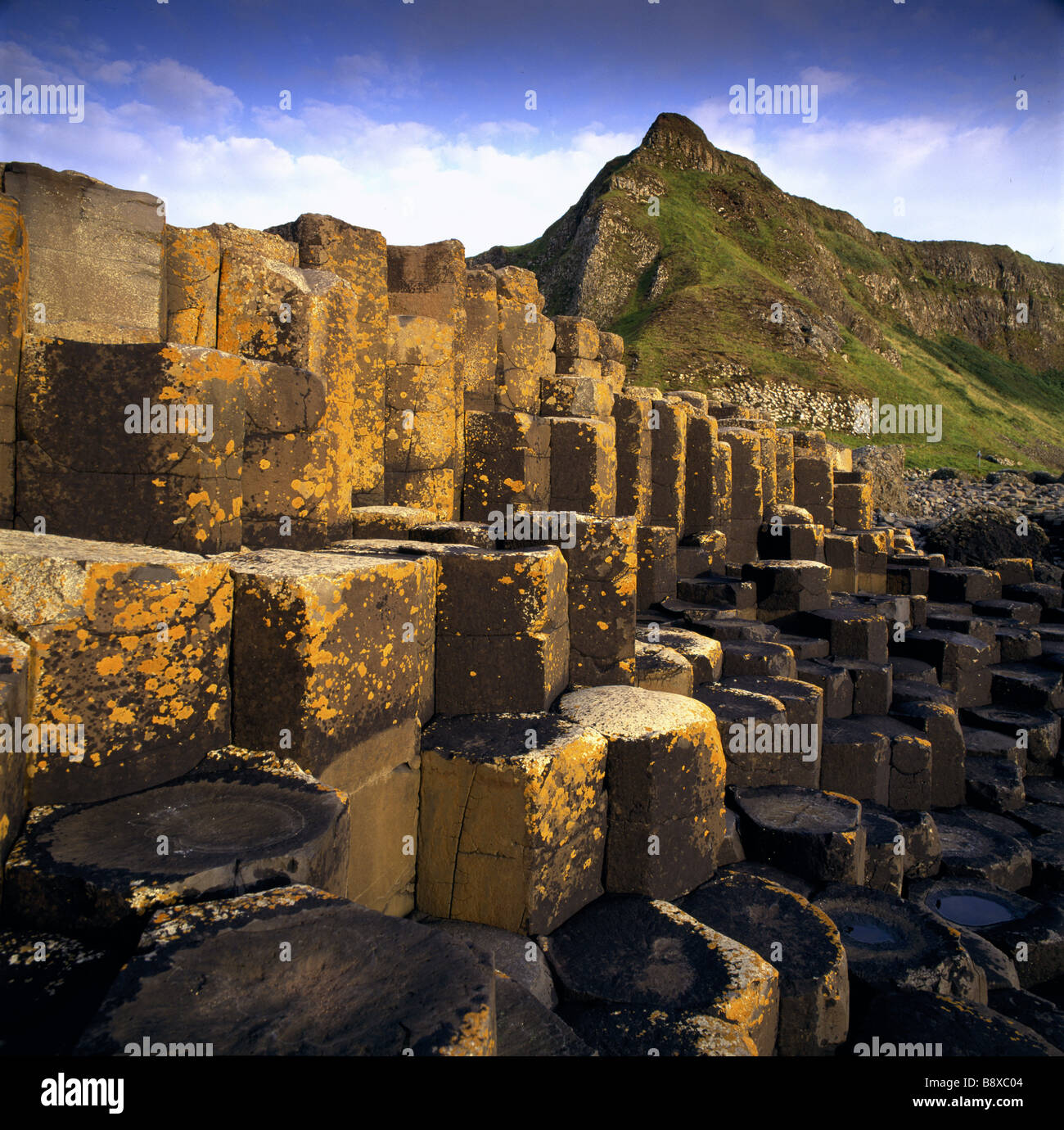 Hexagonal shaped rocks of Giant s Causeway with light reflecting on the ...