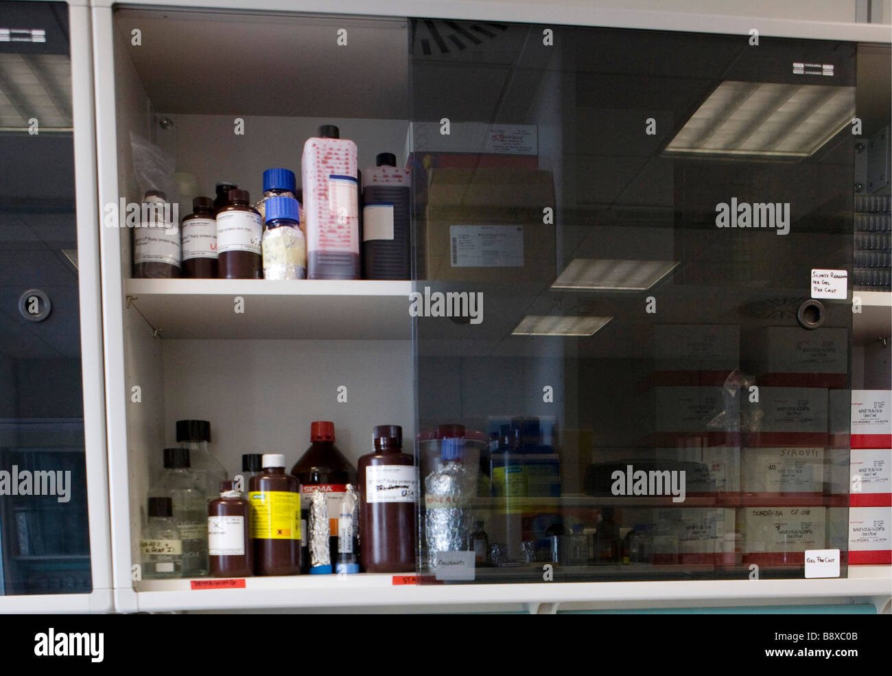 Reagents cupboard in laboratory hi-res stock photography and images - Alamy