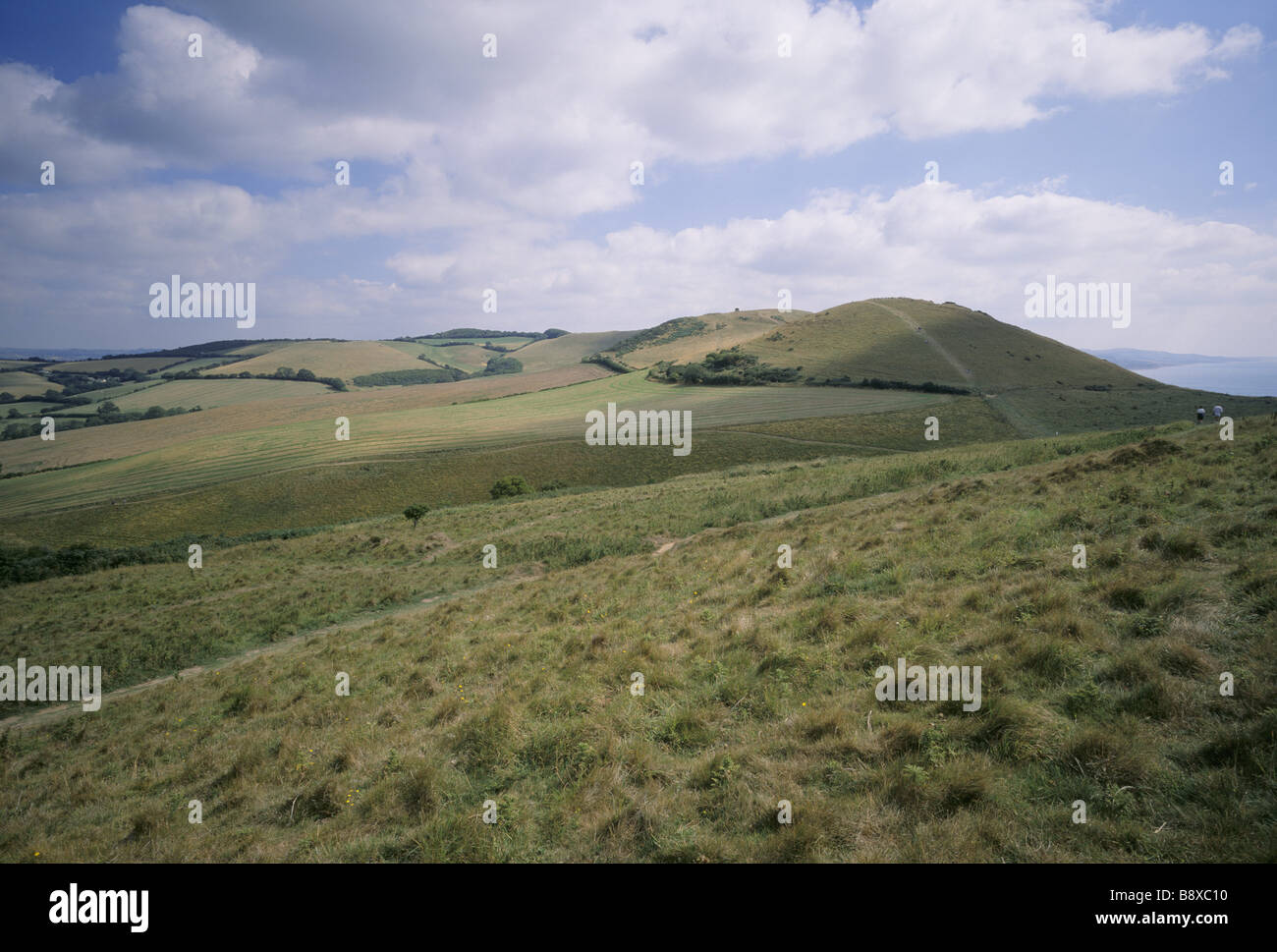 Golden Cap Estate looking east from Ridge Cliff showing Frogmore Hill ...