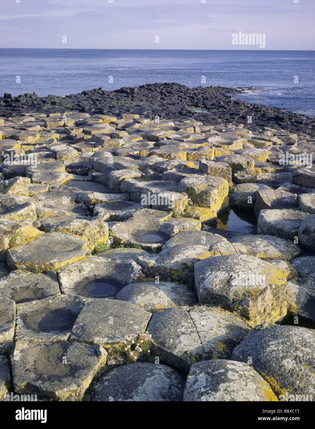 View of the polygonal stacks leading down to the sea at the Giant s ...
