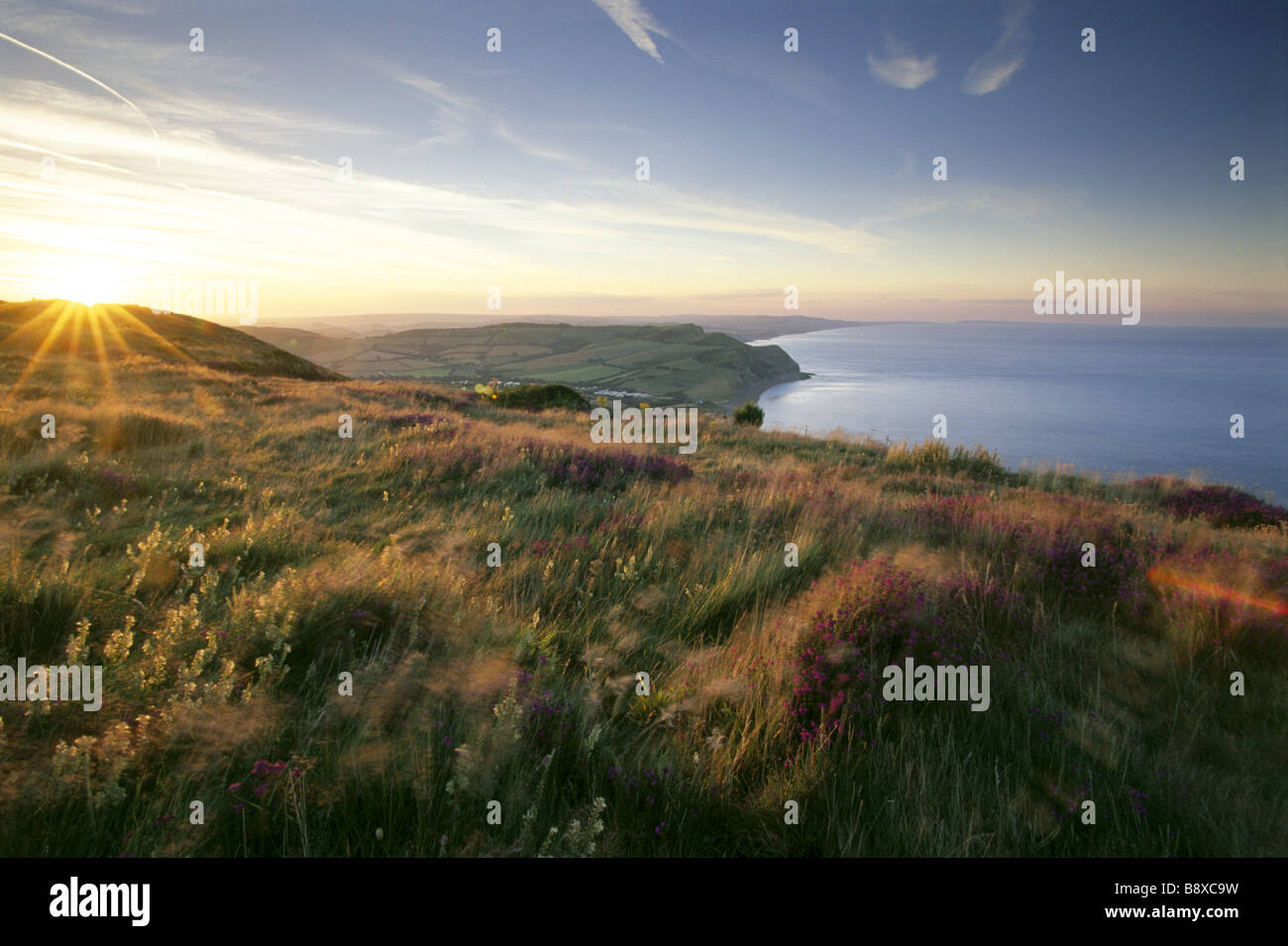 Golden Cap Estate High Resolution Stock Photography and Images - Alamy