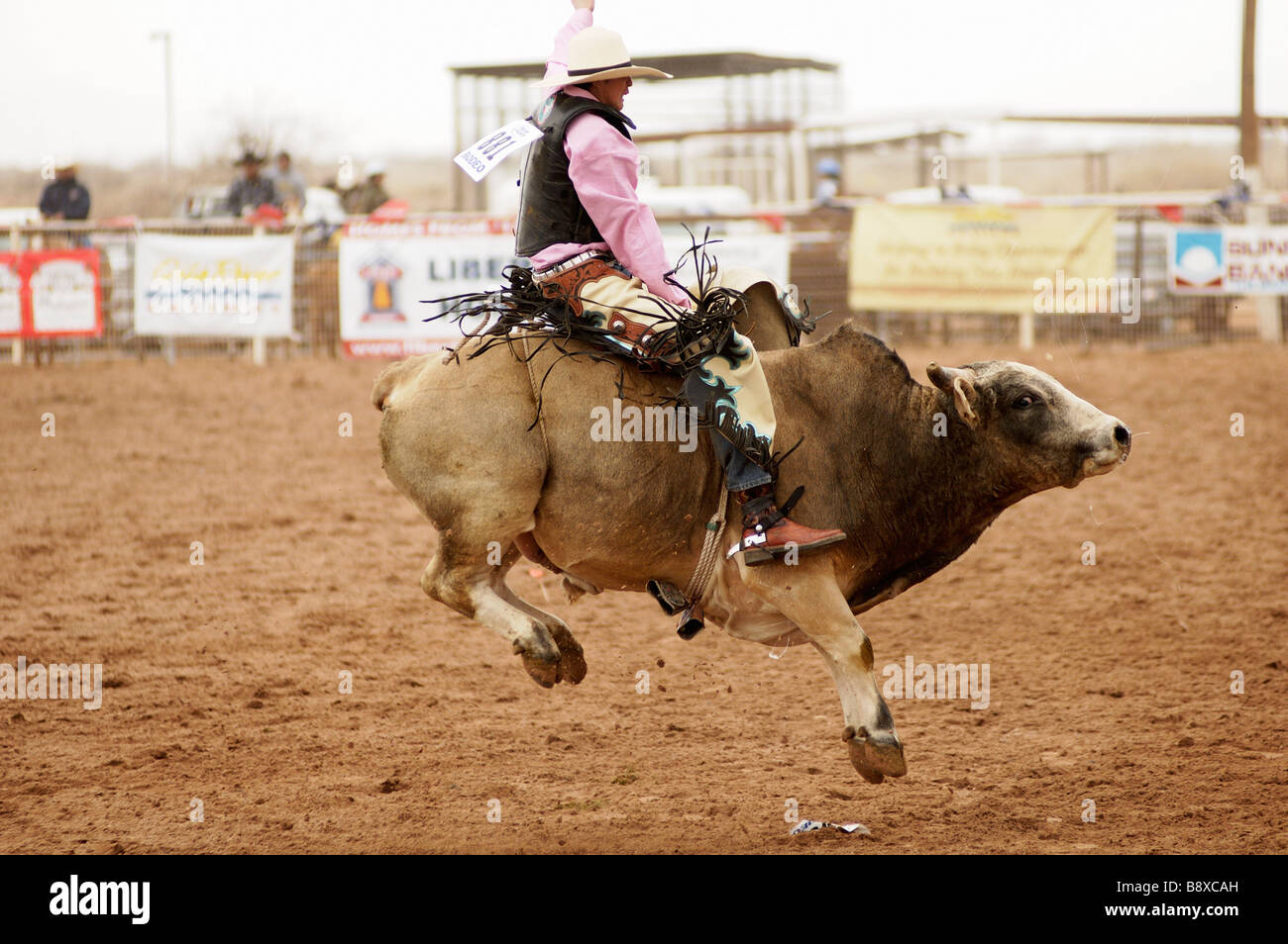 the bull riding event at a rodeo in Arizona Stock Photo - Alamy