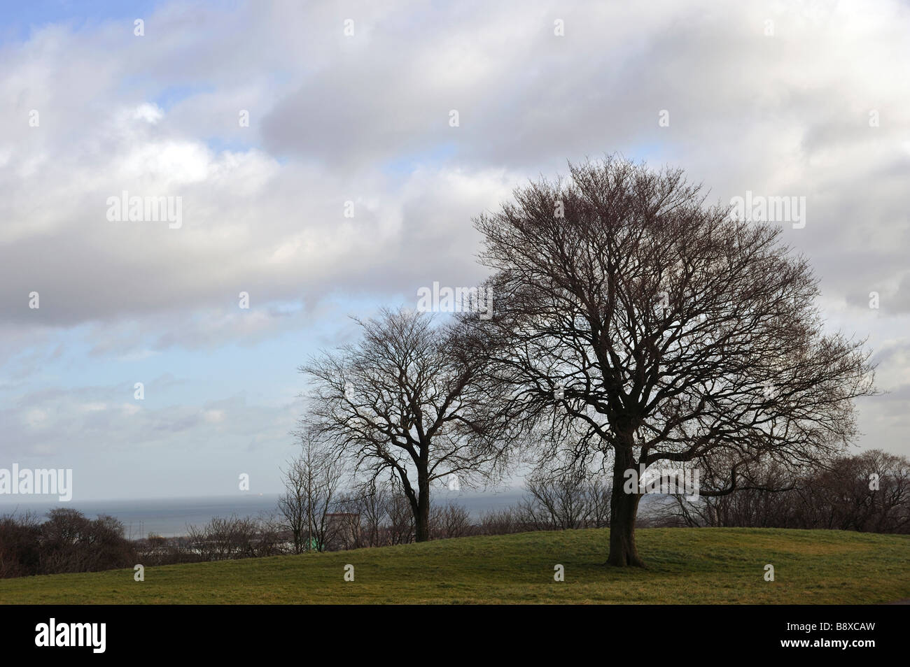 A view from Calton Hill Stock Photo - Alamy