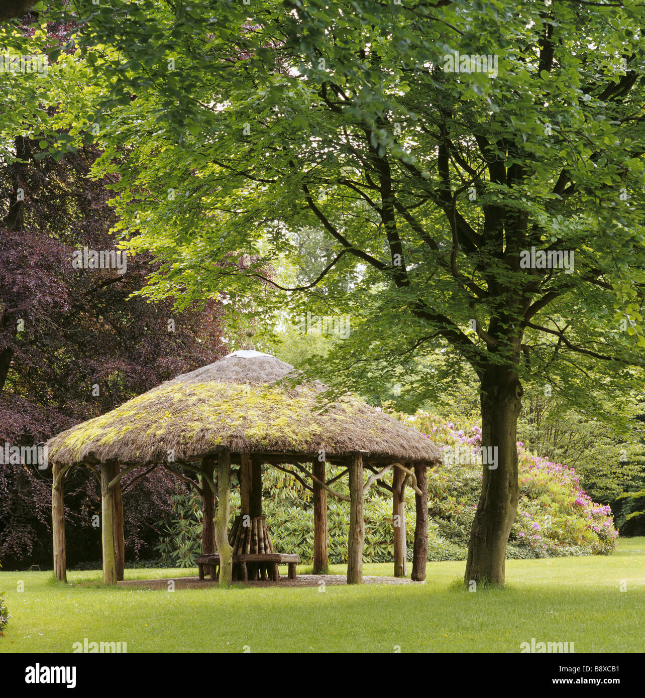 View of the heather thatched African hut at Tatton Park Garden in ...
