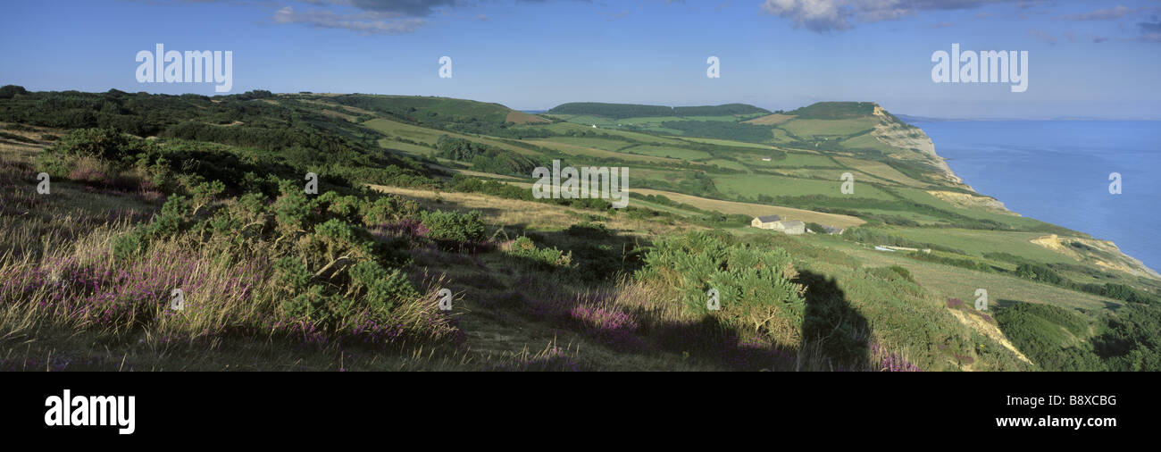 Golden Cap Estate Stock Photo - Alamy