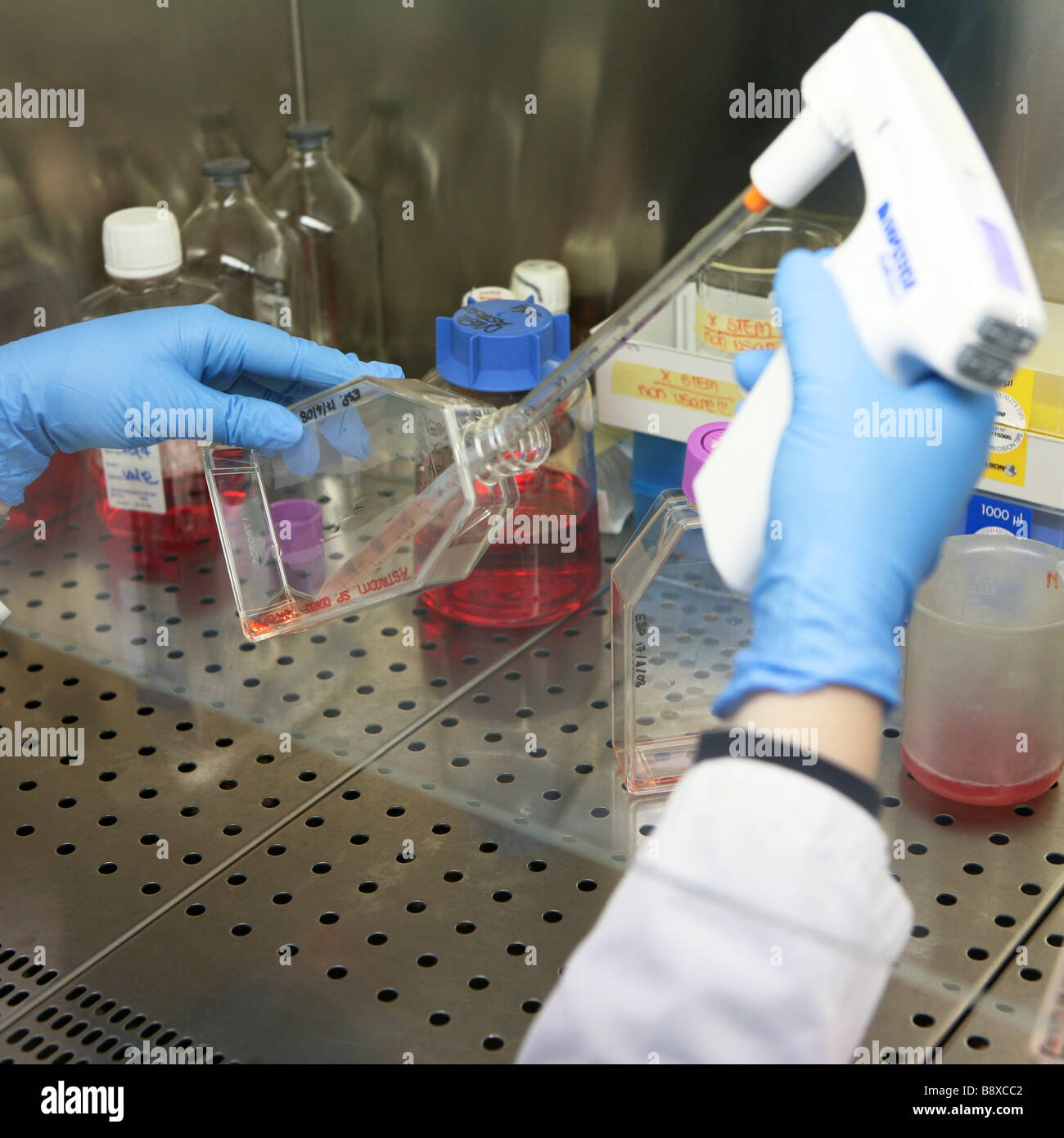 preparation of cell culture, istituto di ricerche farmacologiche mario ...