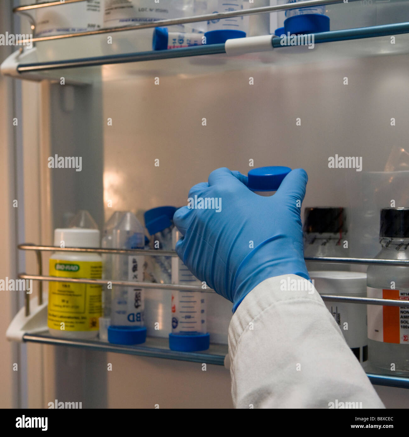 Biochemical Stock Photos & Biochemical Stock Images - Alamy