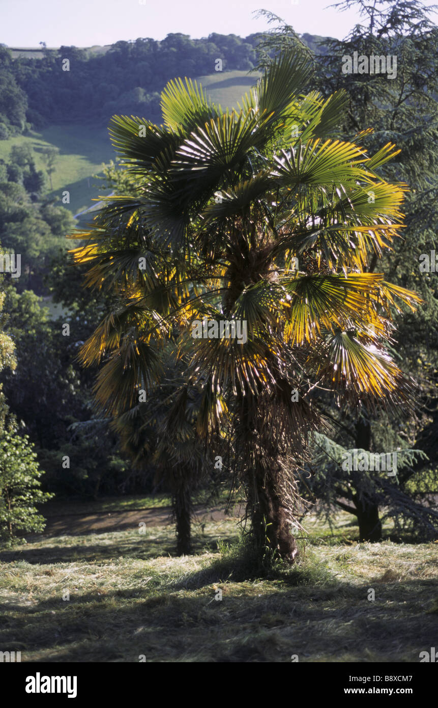 Greenway garden hi-res stock photography and images - Alamy