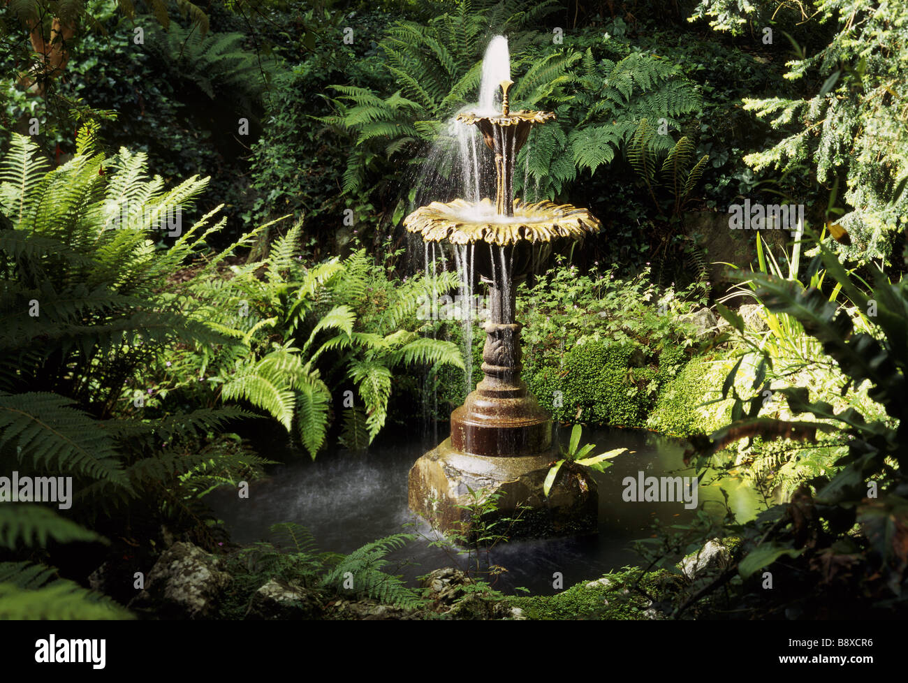 Victorian fountain and fernery in the garden at Greenway. NB this image ...