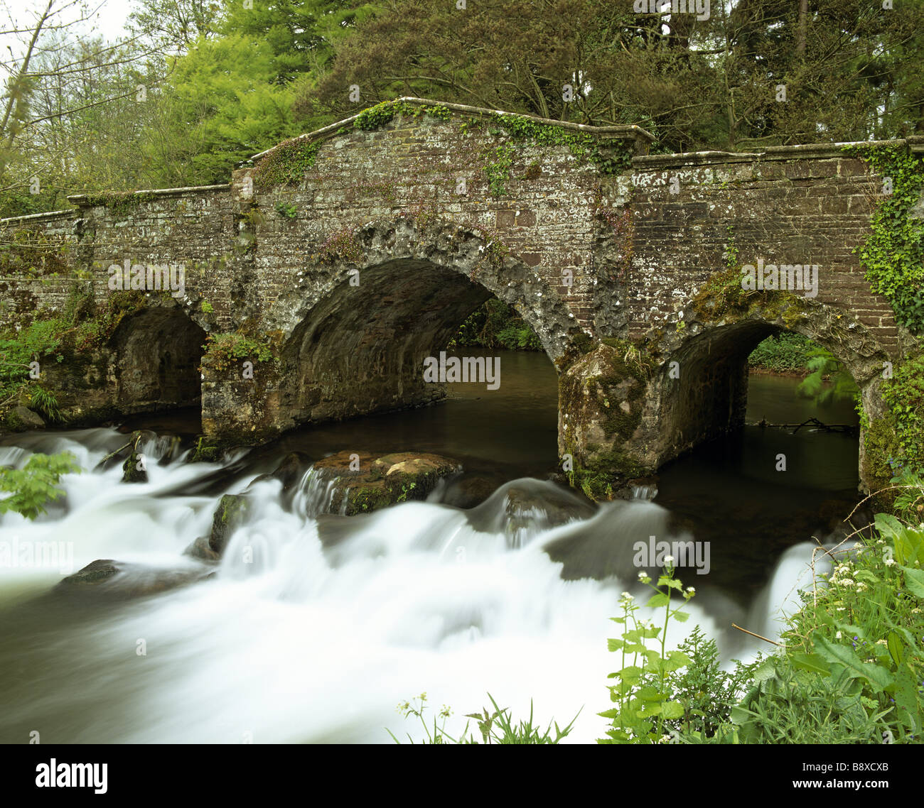 The river Avill gushing through the Lawns Bridge in the grounds of ...