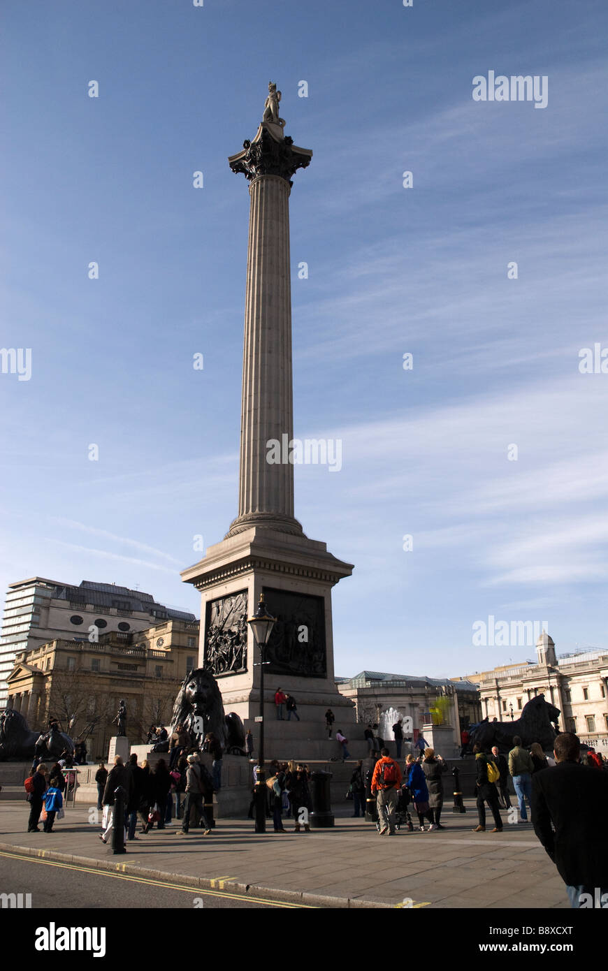 Nelsons column in Trafalgar Square, London Stock Photo - Alamy