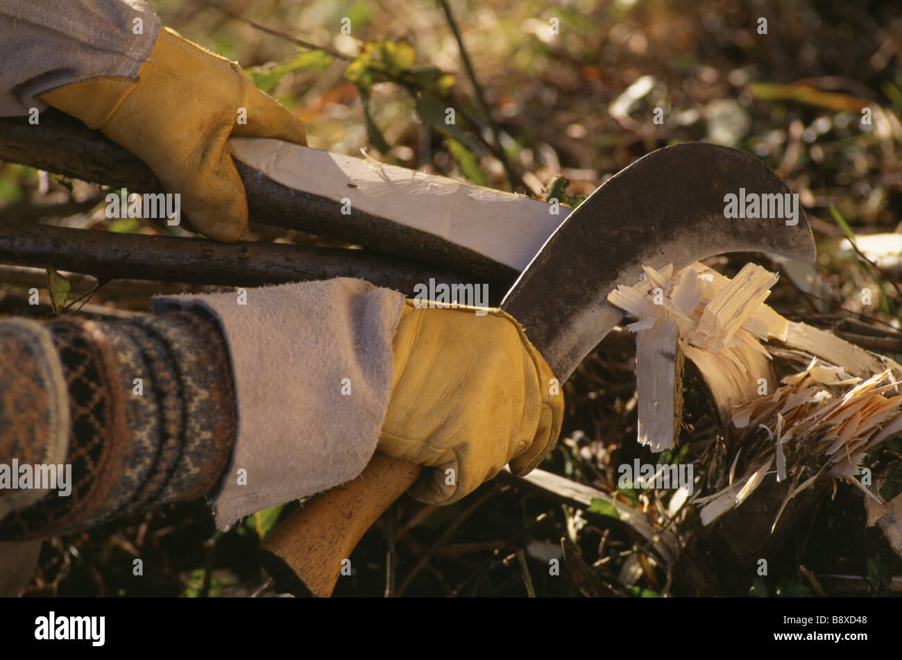 Bill Hook Tool High Resolution Stock Photography and Images - Alamy