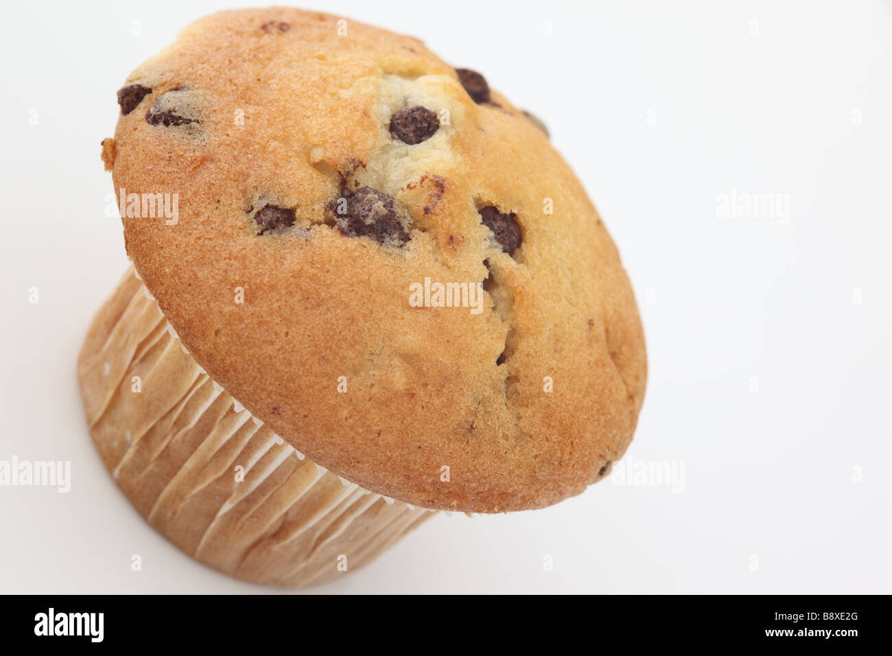 Close up of a single chocolate chip muffin against a white background ...