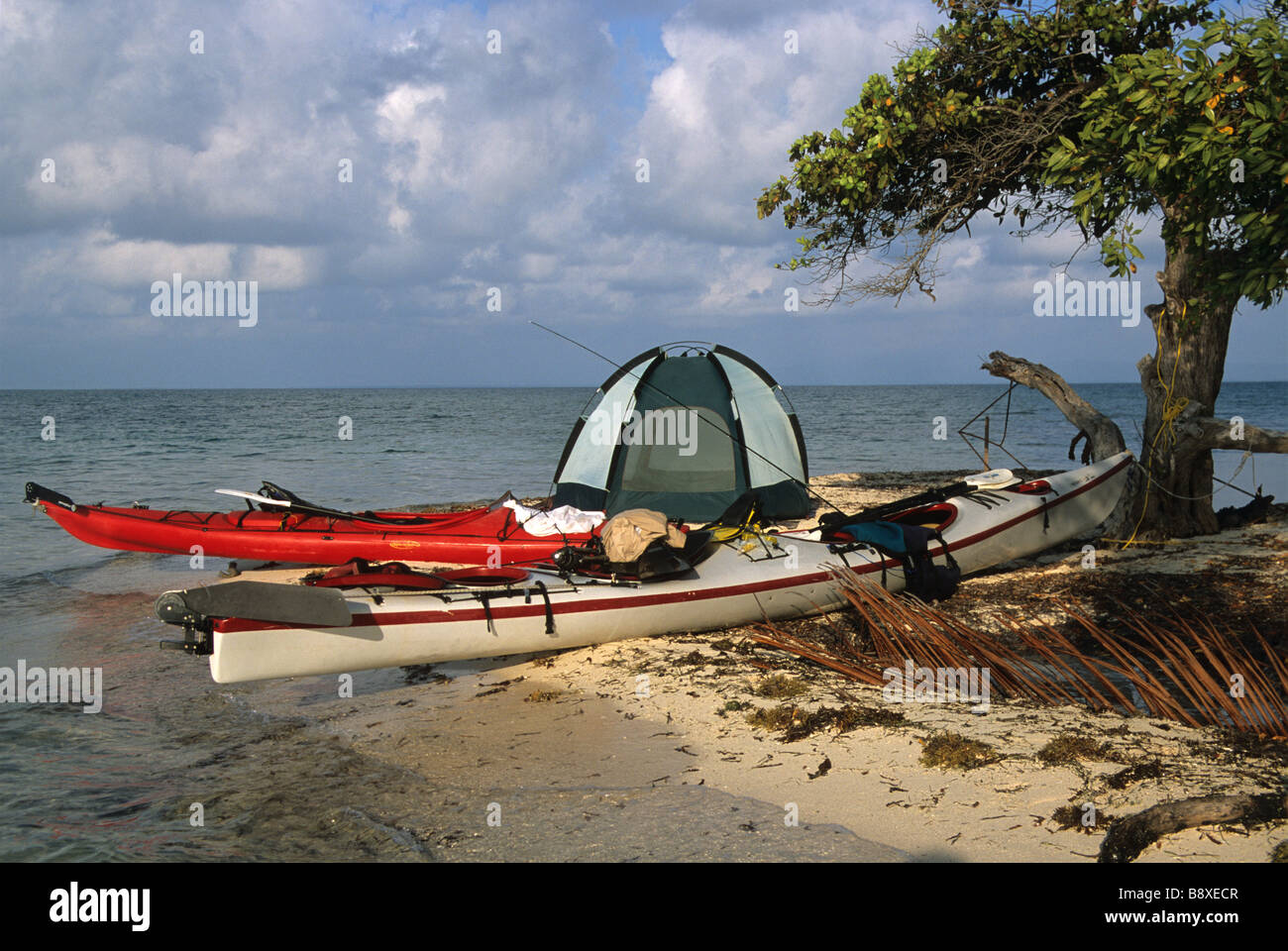 sea kayaking campsite on a small island in Belize Stock Photo - Alamy