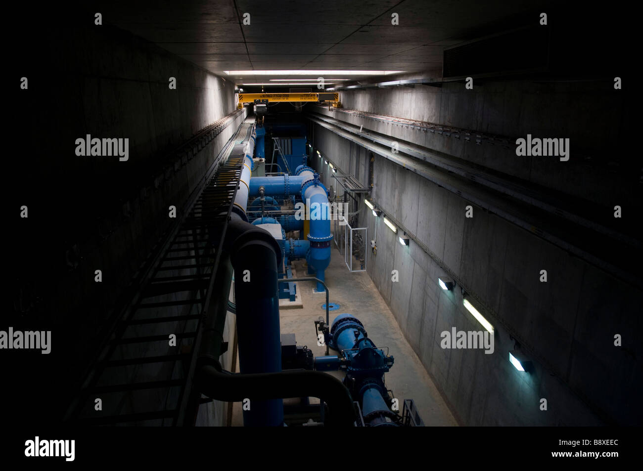 Eshkol water plant hi-res stock photography and images - Alamy