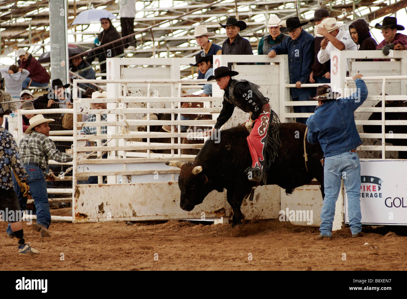 the bull riding event at a rodeo in Arizona Stock Photo - Alamy