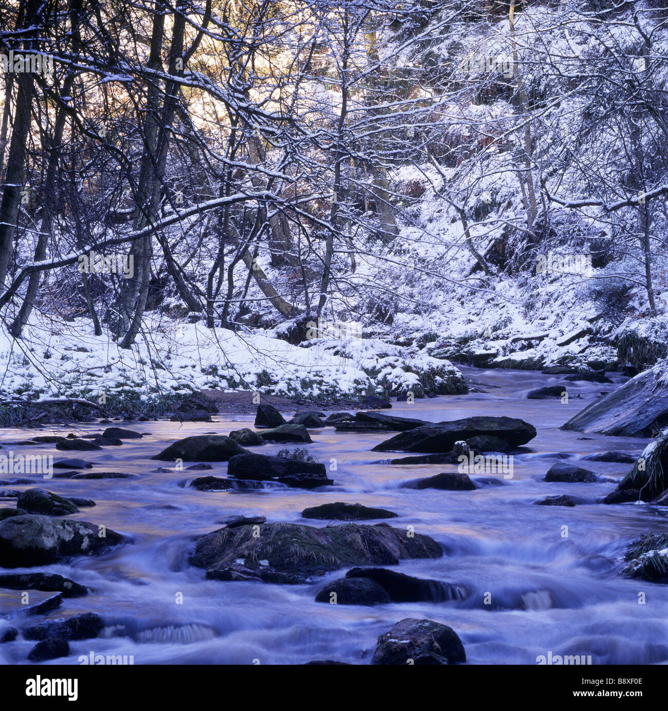 Hebden Water bubbling through its rock strewn bed between the tree ...