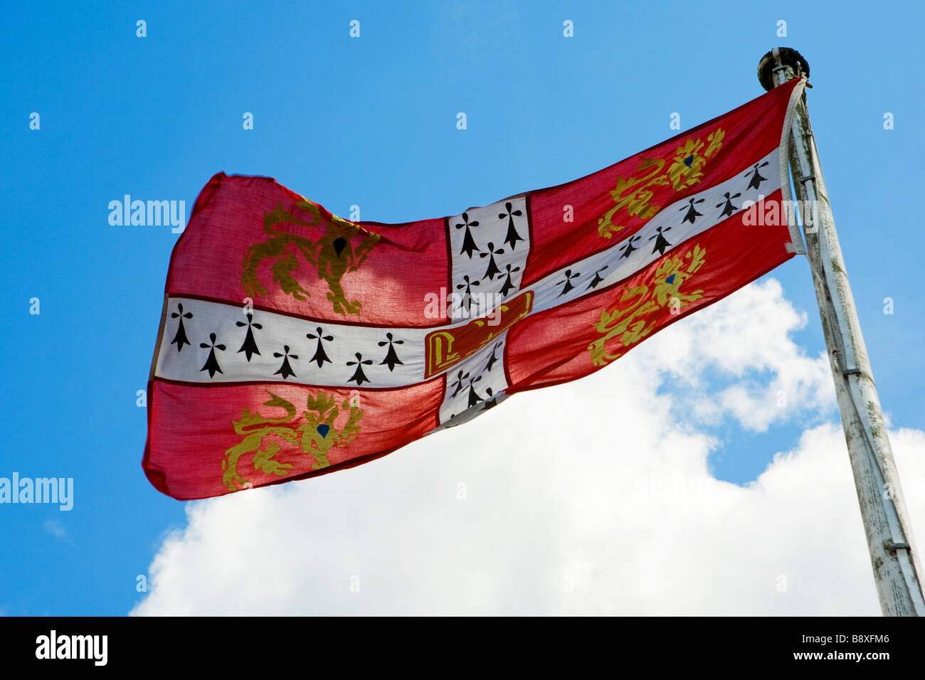 Cambridge university flag Stock Photo - Alamy