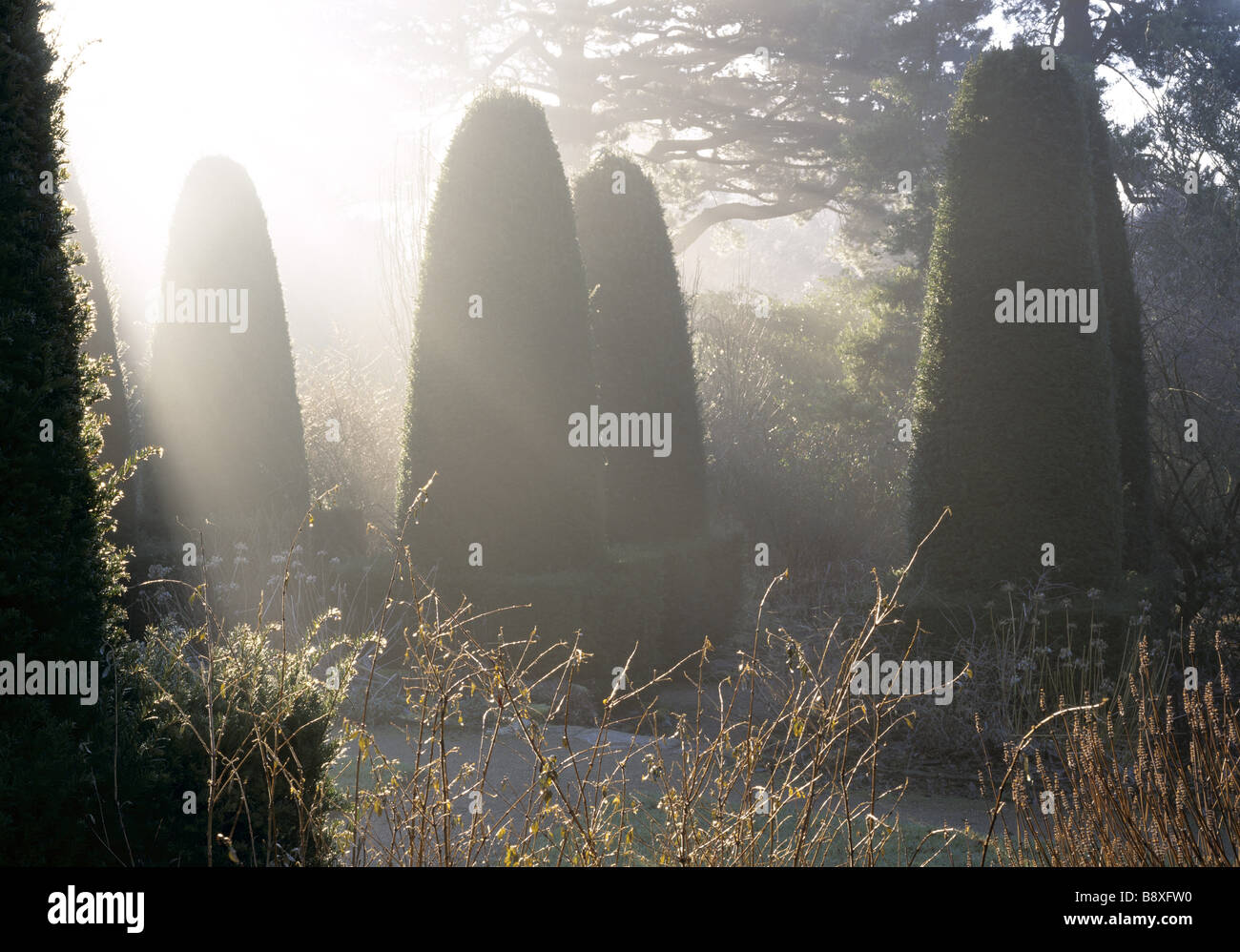 Hidcote manor garden hedge hi-res stock photography and images - Alamy