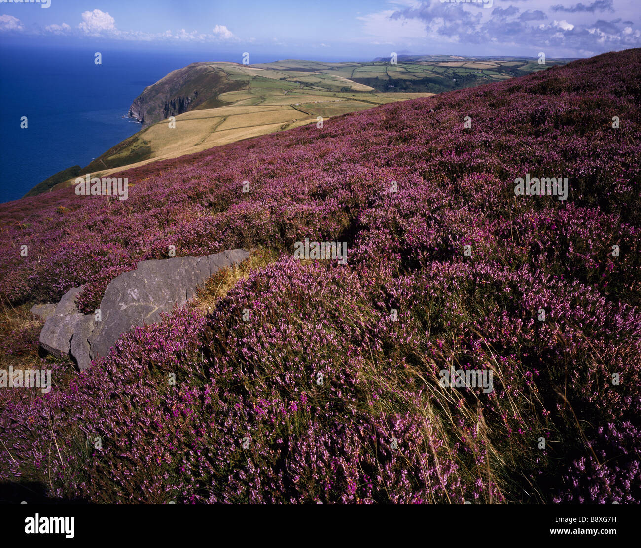 Heddon Valley:Heddon's Mouth Stock Photo - Alamy