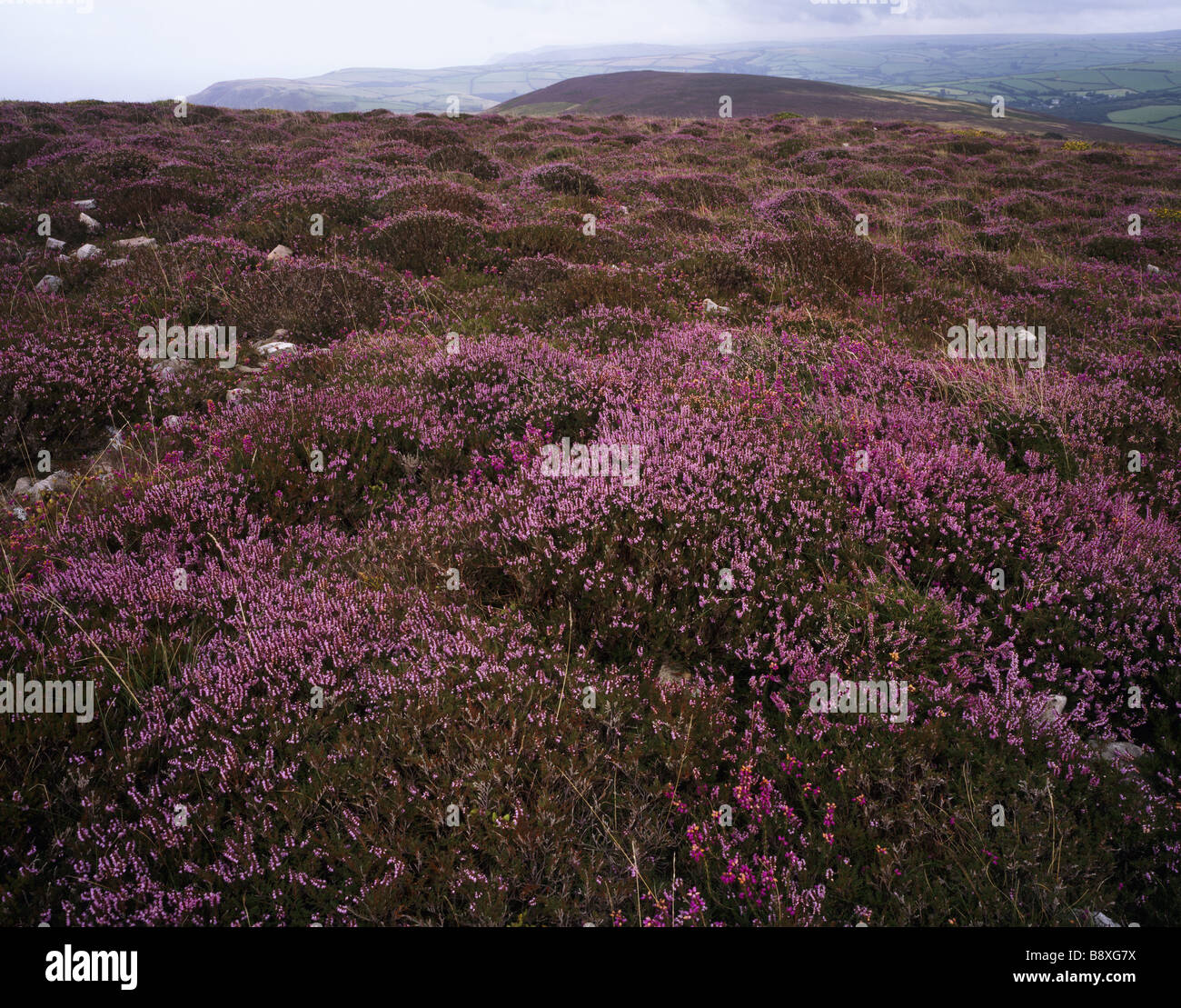 Heddon Valley:Heddon's Mouth Stock Photo - Alamy