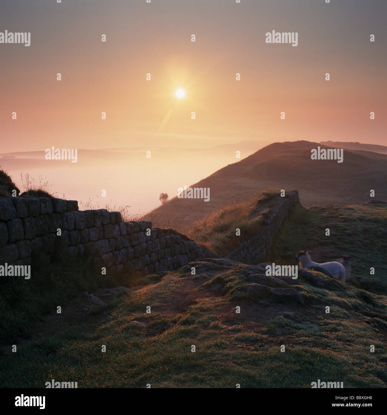 Hadrian's Wall Estate Stock Photo - Alamy