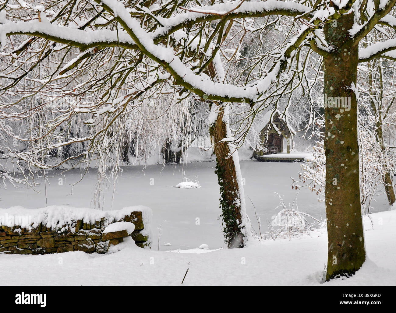 Pond surrounded by trees hi-res stock photography and images - Alamy