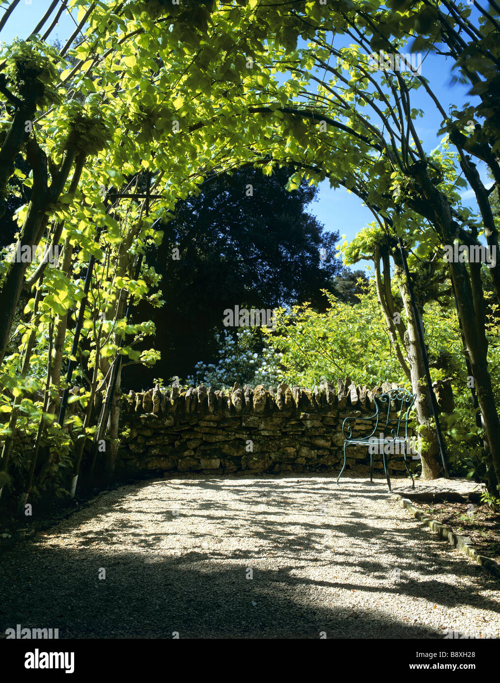 A shaded archway in the garden at Hidcote Manor with a solitary blue ...