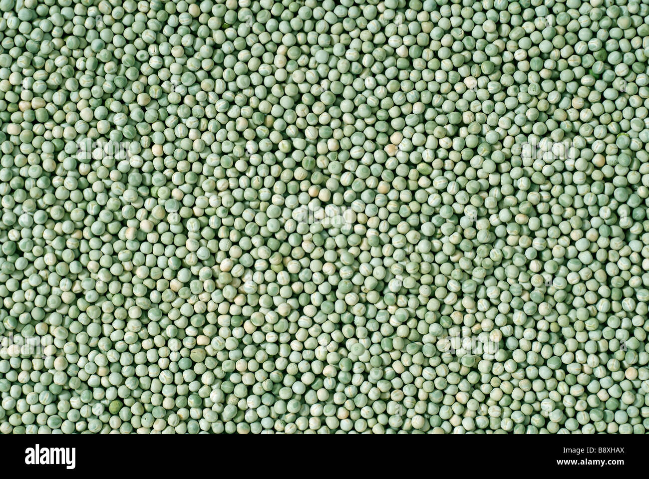Background of dried peas Stock Photo - Alamy