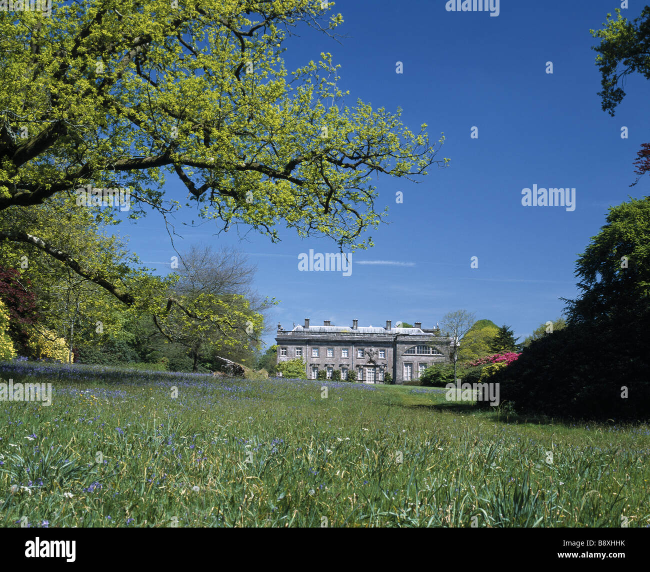 Stourhead spring hi-res stock photography and images - Alamy
