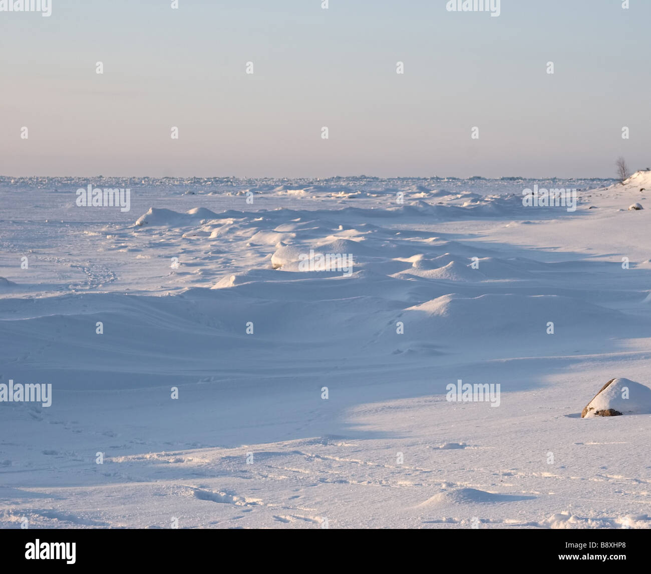 Coast of frozen sea Finnish Bay of Baltic Sea Russia Stock Photo - Alamy