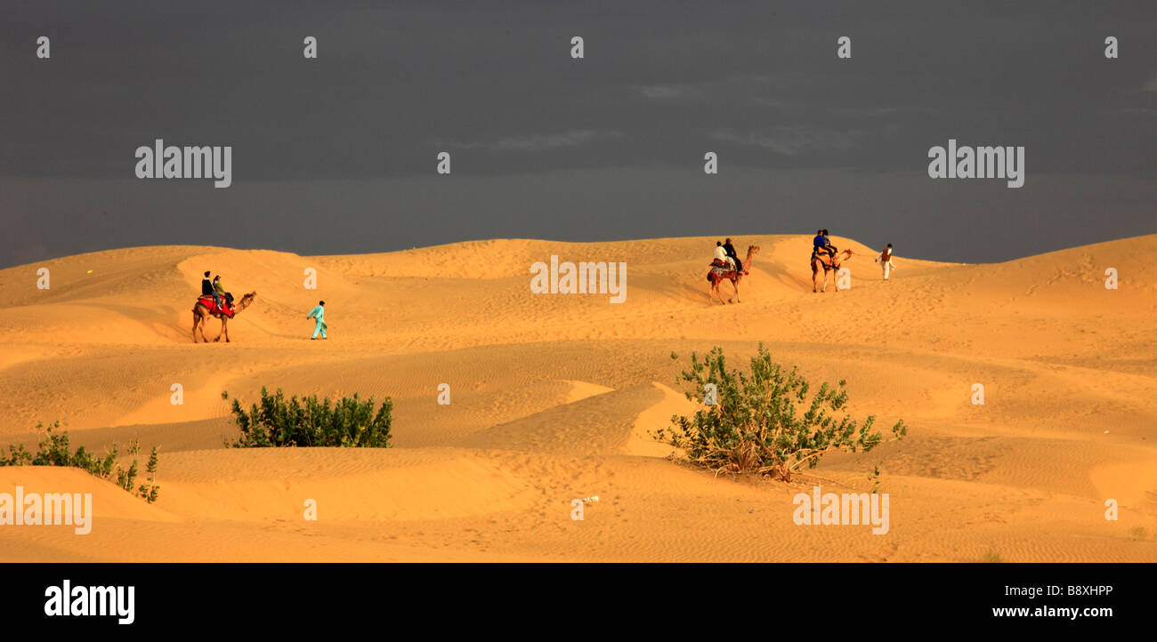 India Rajasthan Thar Desert Sam Sand Dunes people on camels Stock Photo ...