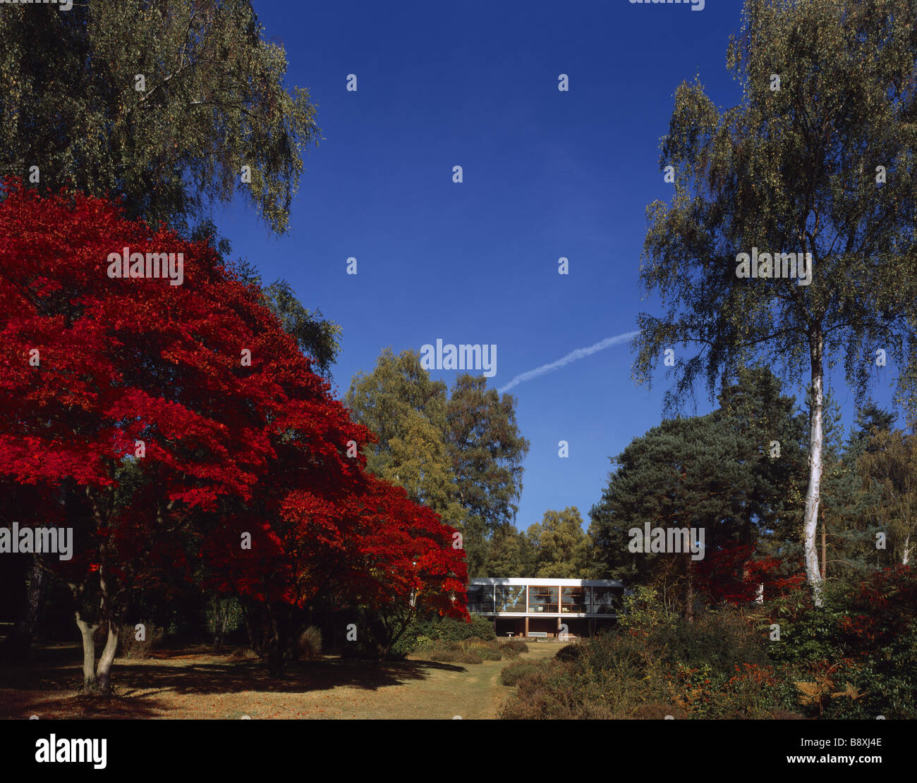 The homewood surrey hi-res stock photography and images - Alamy