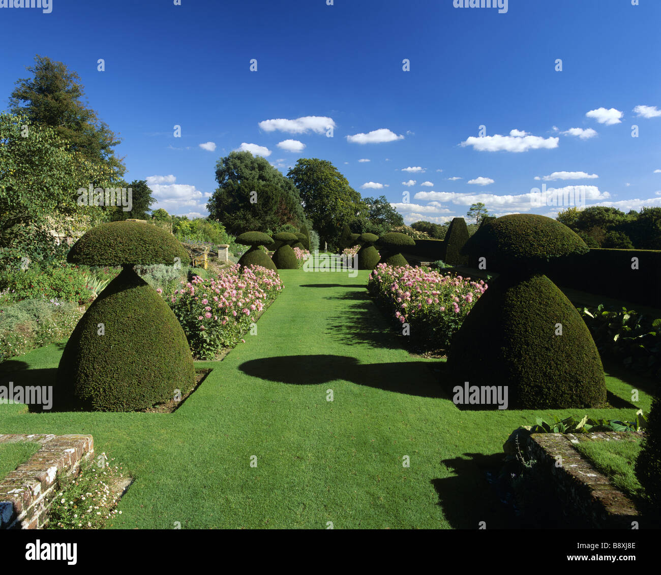 Hinton hedges hi-res stock photography and images - Alamy