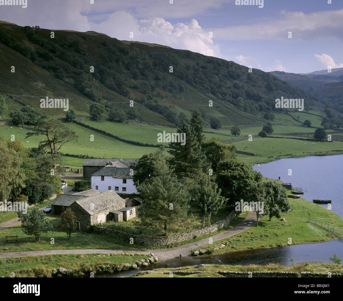 Fold Head Farm is a family run sheep and beef farm now offering bed and ...