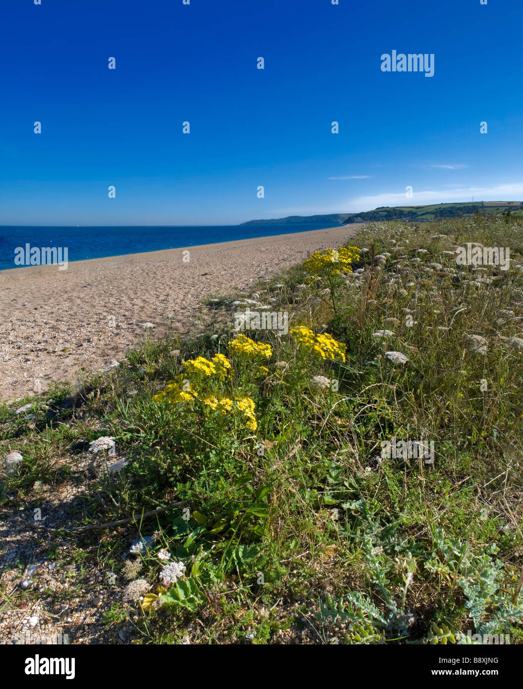 sand sandy pebbles beach beaches geography geology spit spit bar ...