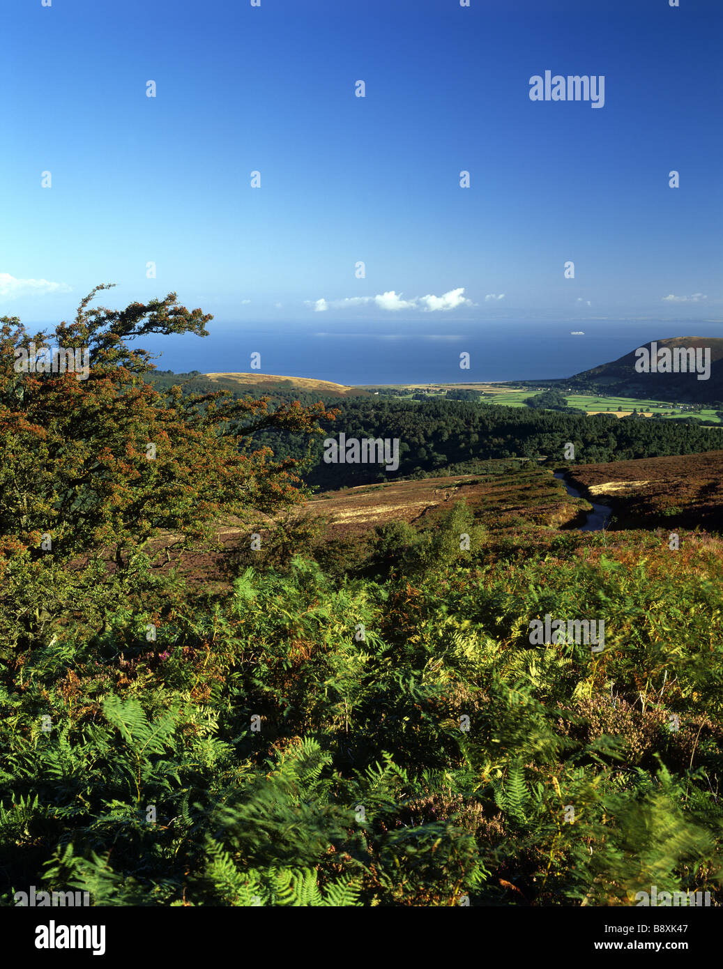 A view from Dunkery Exmoor looking towards Porlock Bay Stock Photo - Alamy