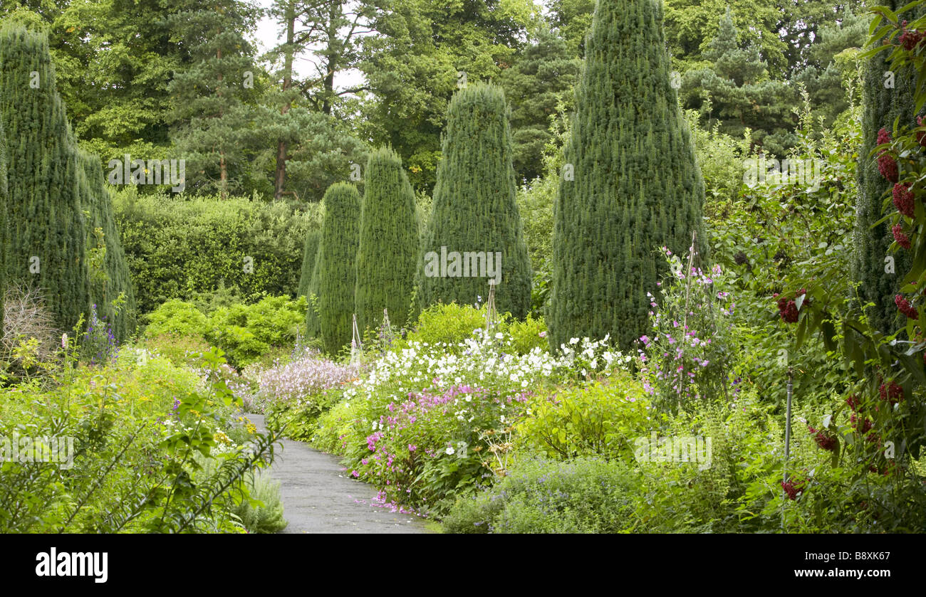 The Long Borders at Hidcote Manor Garden Gloucestershire with yew trees ...