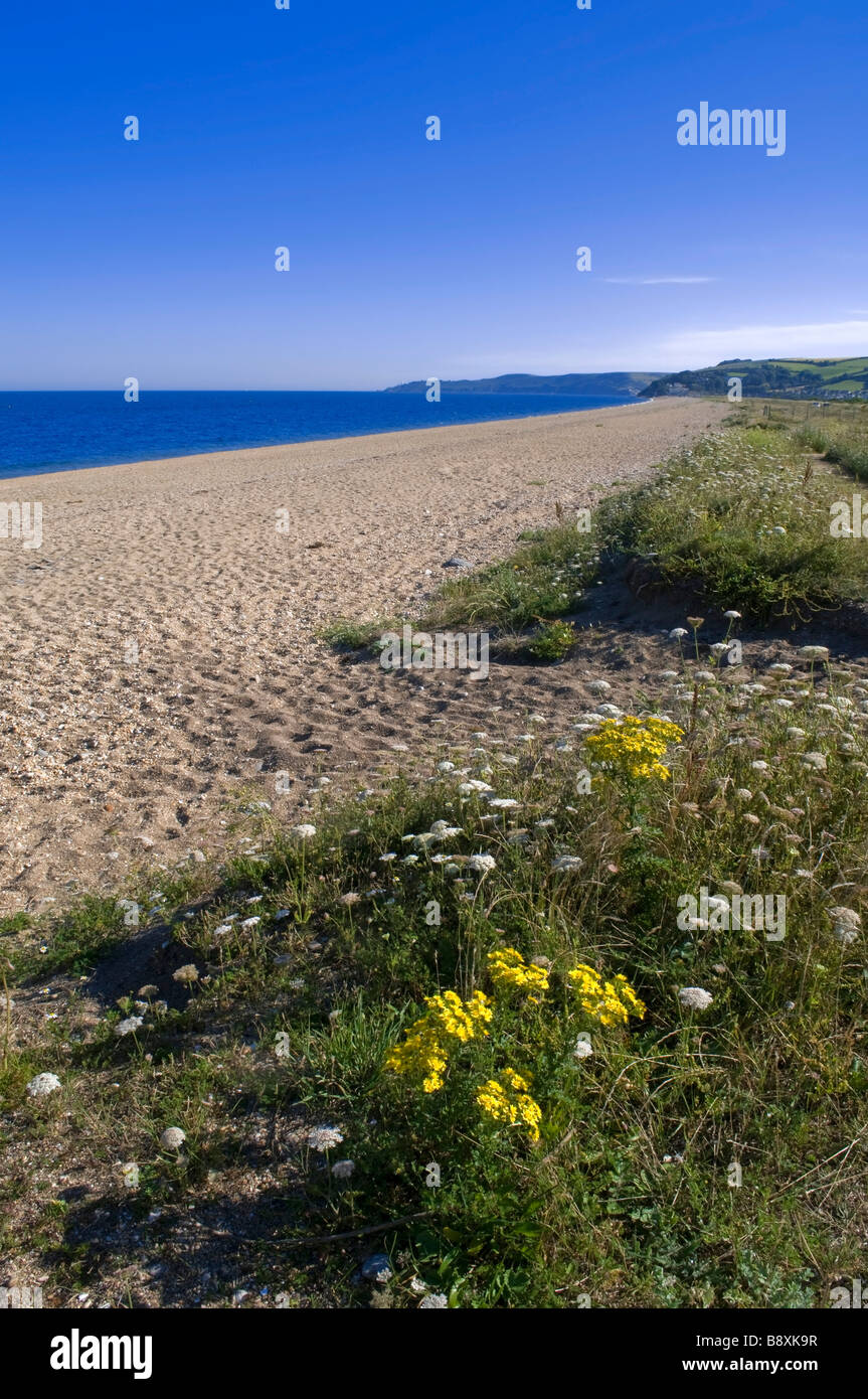 sand spit at slapton the south hams devon on the south west coast path ...