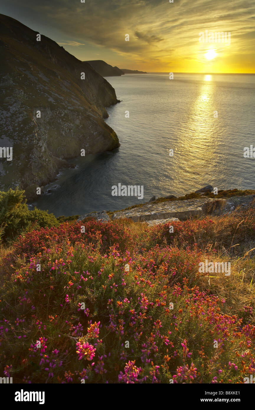 Heddon Valley:Heddon's Mouth Stock Photo - Alamy