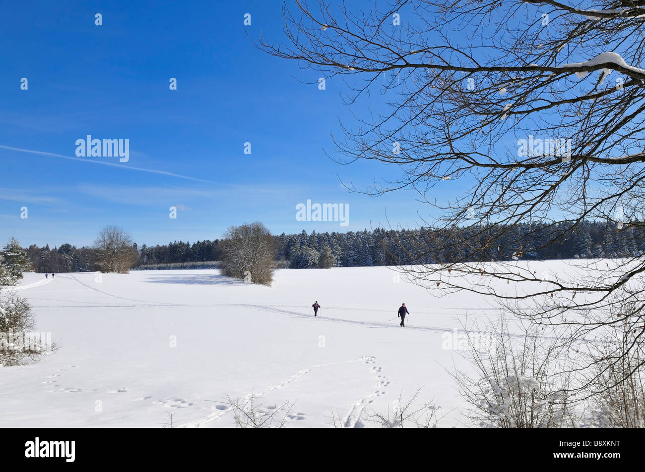 Winter Landscape between Russberg and Risiberg, Naturpark Obere Donau ...