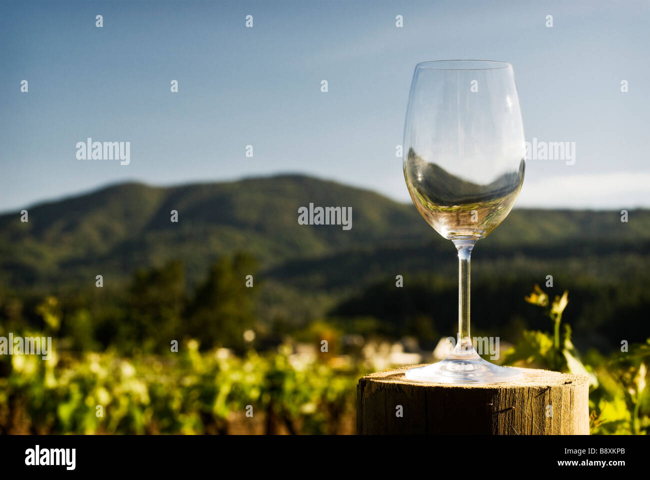 empty wine glass Stock Photo - Alamy