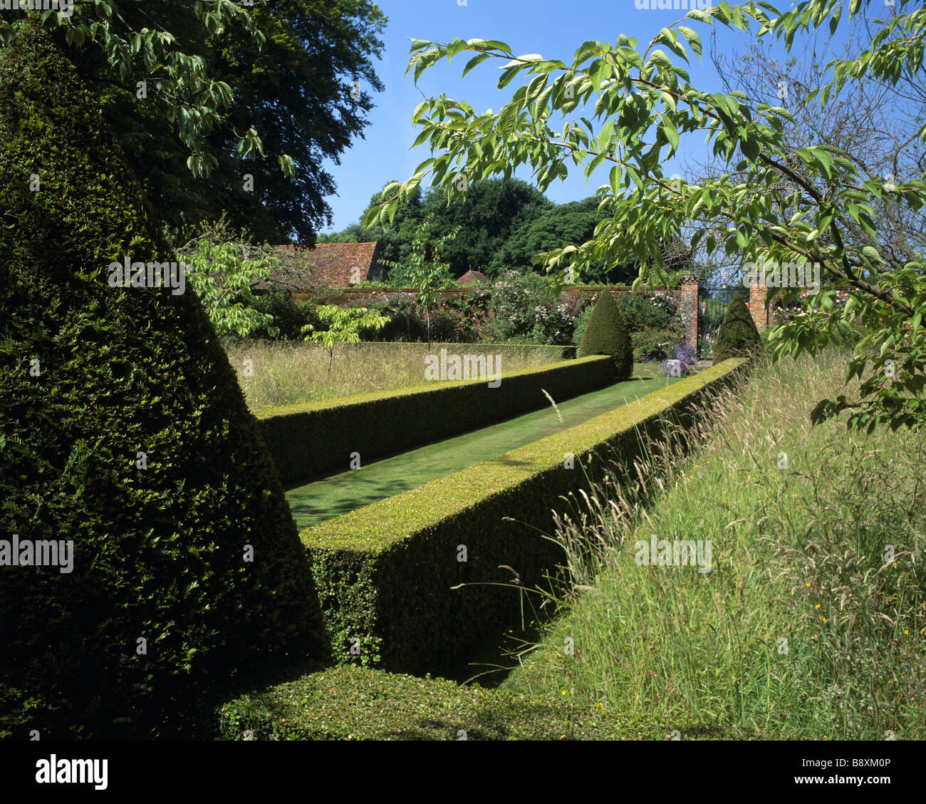 A path through the Orchard Spring Bulb Garden at Hinton Ampner flanked ...
